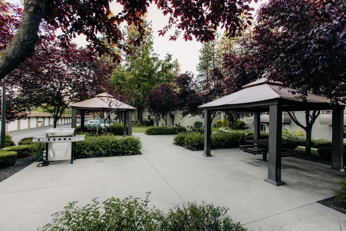 Photos and Video of Tree Top Apartments in Coeur d'Alene, ID