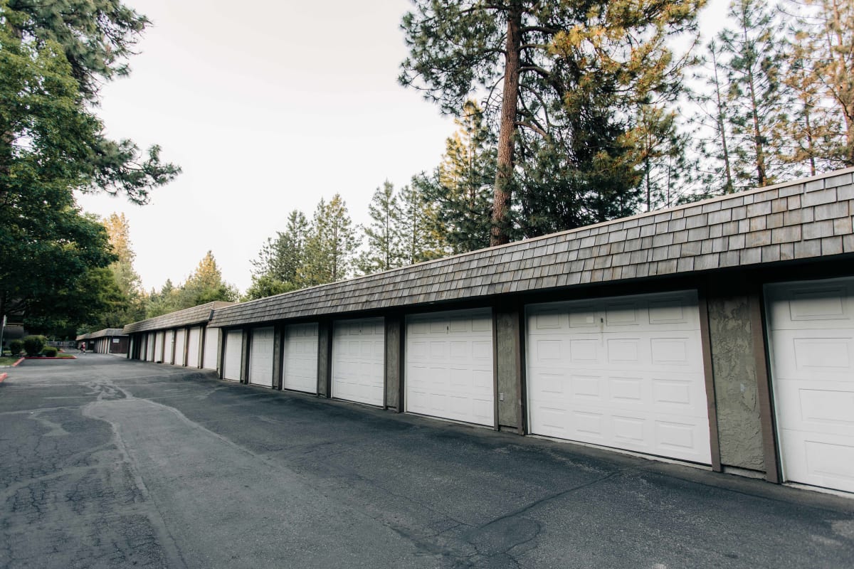 Photos and Video of Tree Top Apartments in Coeur d'Alene, ID