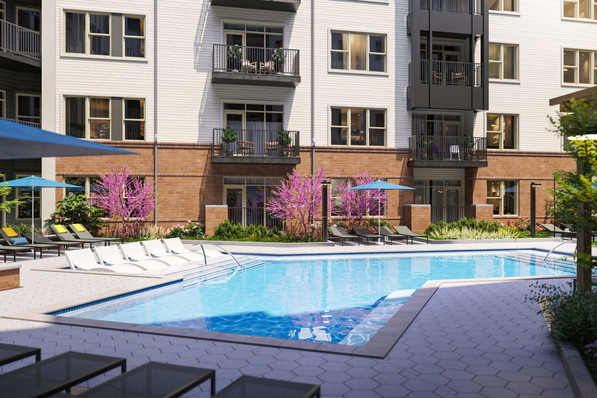 Photos of Luxury Apartment Community in Chapel Hill | Link Apartments ...