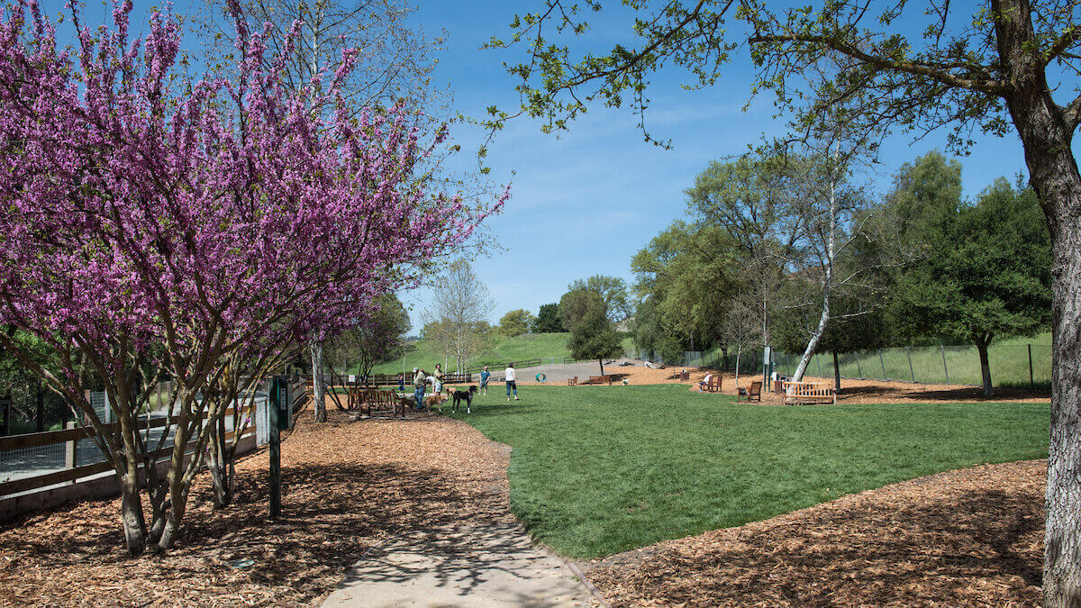 Apartments in San Ramon | Falcon Bridge at Gale Ranch