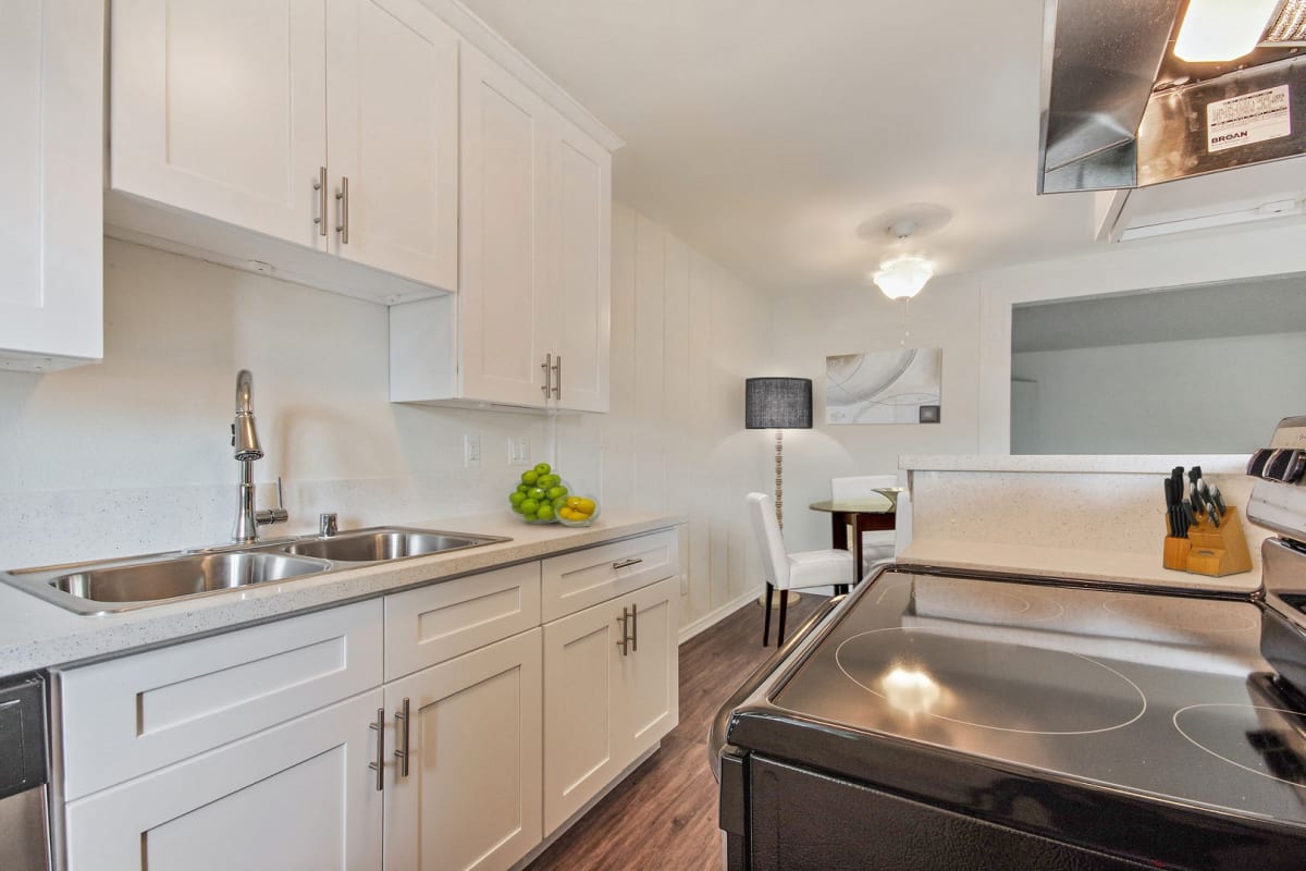 Photos and Video of Villa La Paloma in Reseda, CA