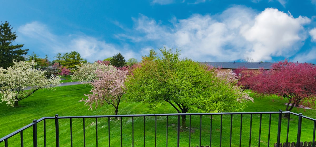 Greenwood Apartments Photos | Ashmore Trace | Multifamily Rentals