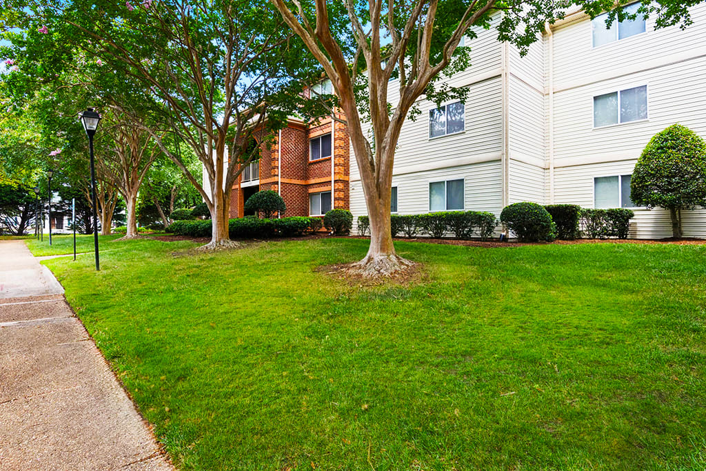 Photos and Video of Governor's Pointe in Chesapeake, VA