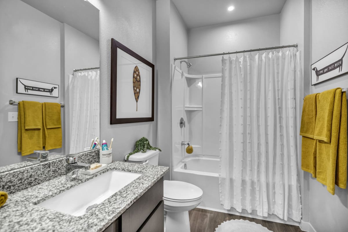 Photos and Video of Seven07 Lofts in San Antonio, TX