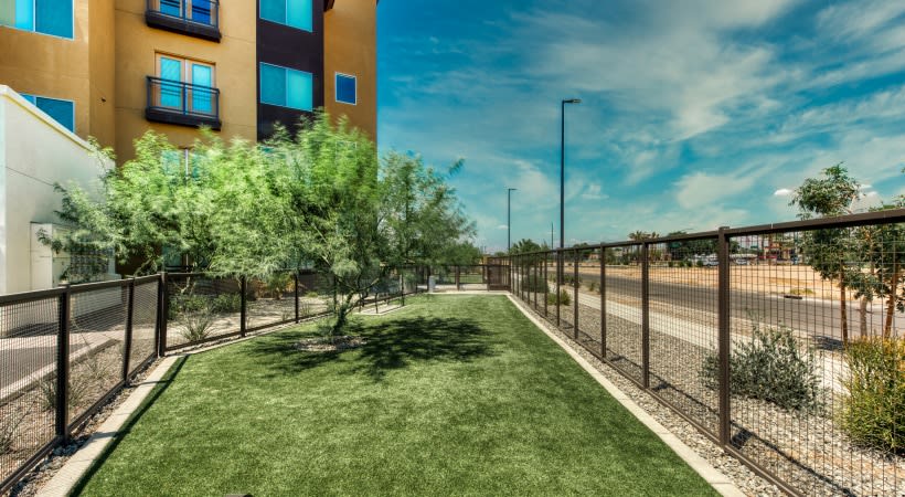 Gilbert Apartments | Elevation San Tan