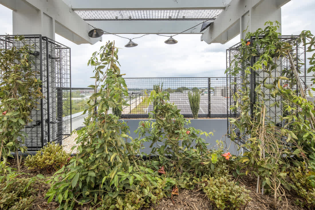 Photos and Video of The Asberry at Barry Farm in Washington, DC