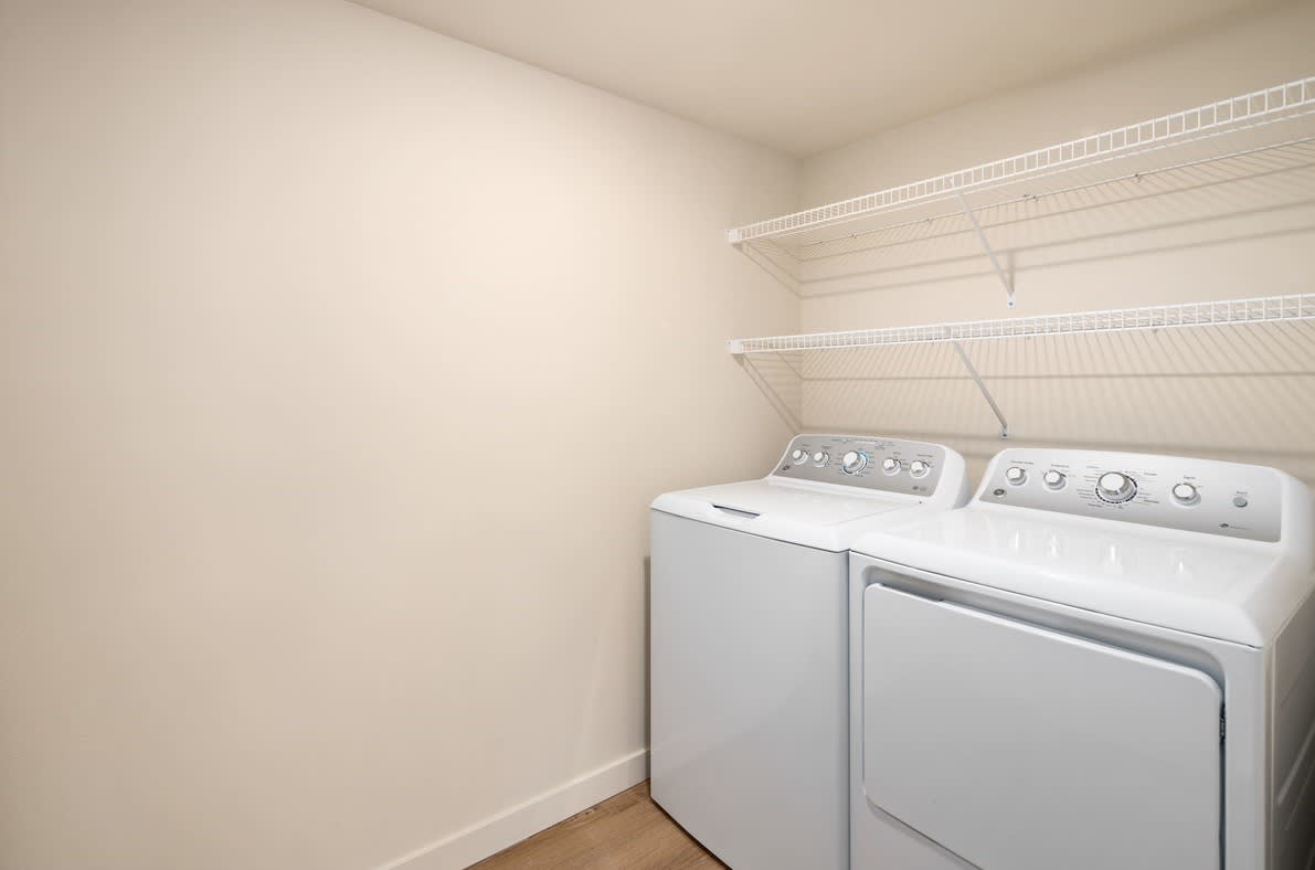 Photos and Video of Copper Rose in COLORADO SPRINGS, CO