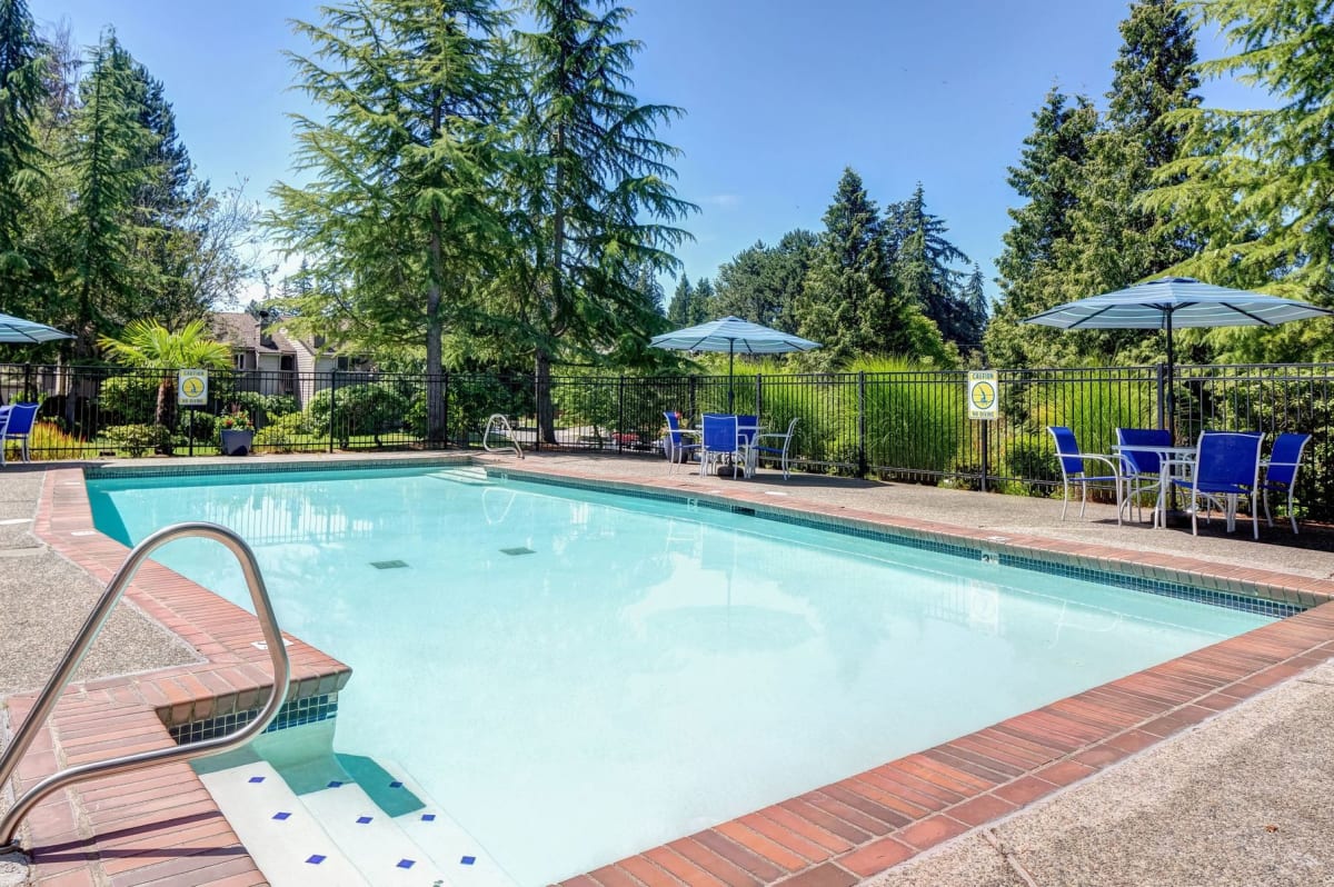 Photos and Video of Silver Oak in Mountlake Terrace, WA