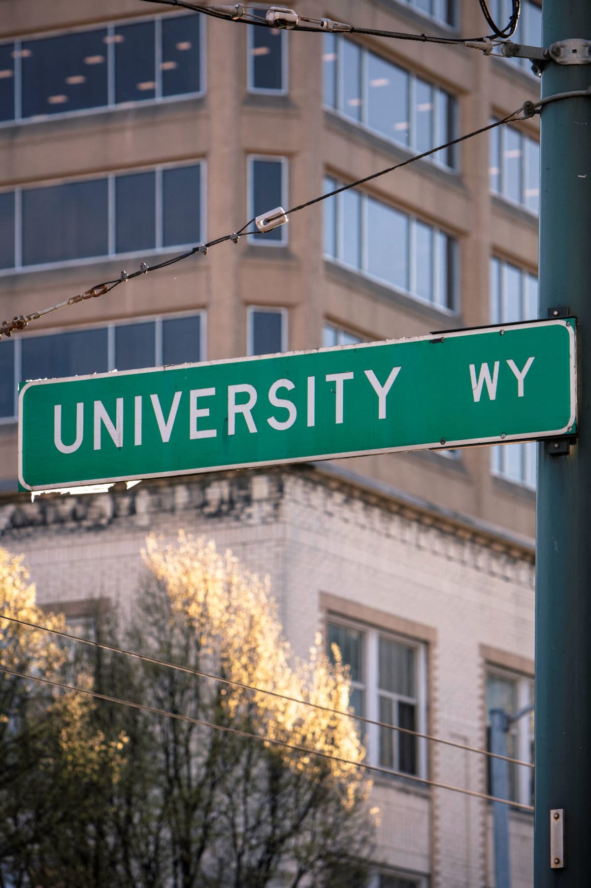 Photos and Video of Sundodger in Seattle, WA