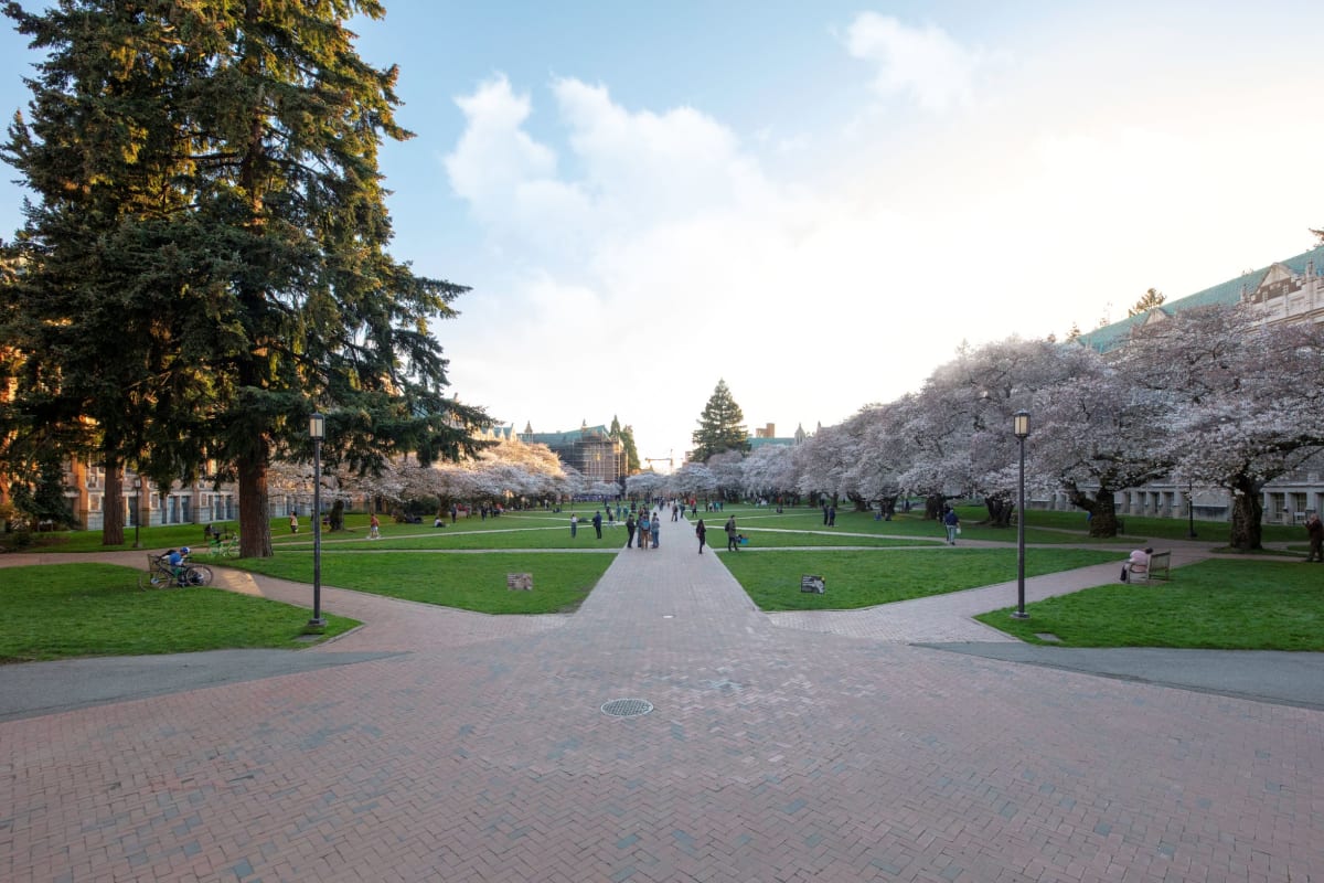 Photos and Video of Sundodger in Seattle, WA