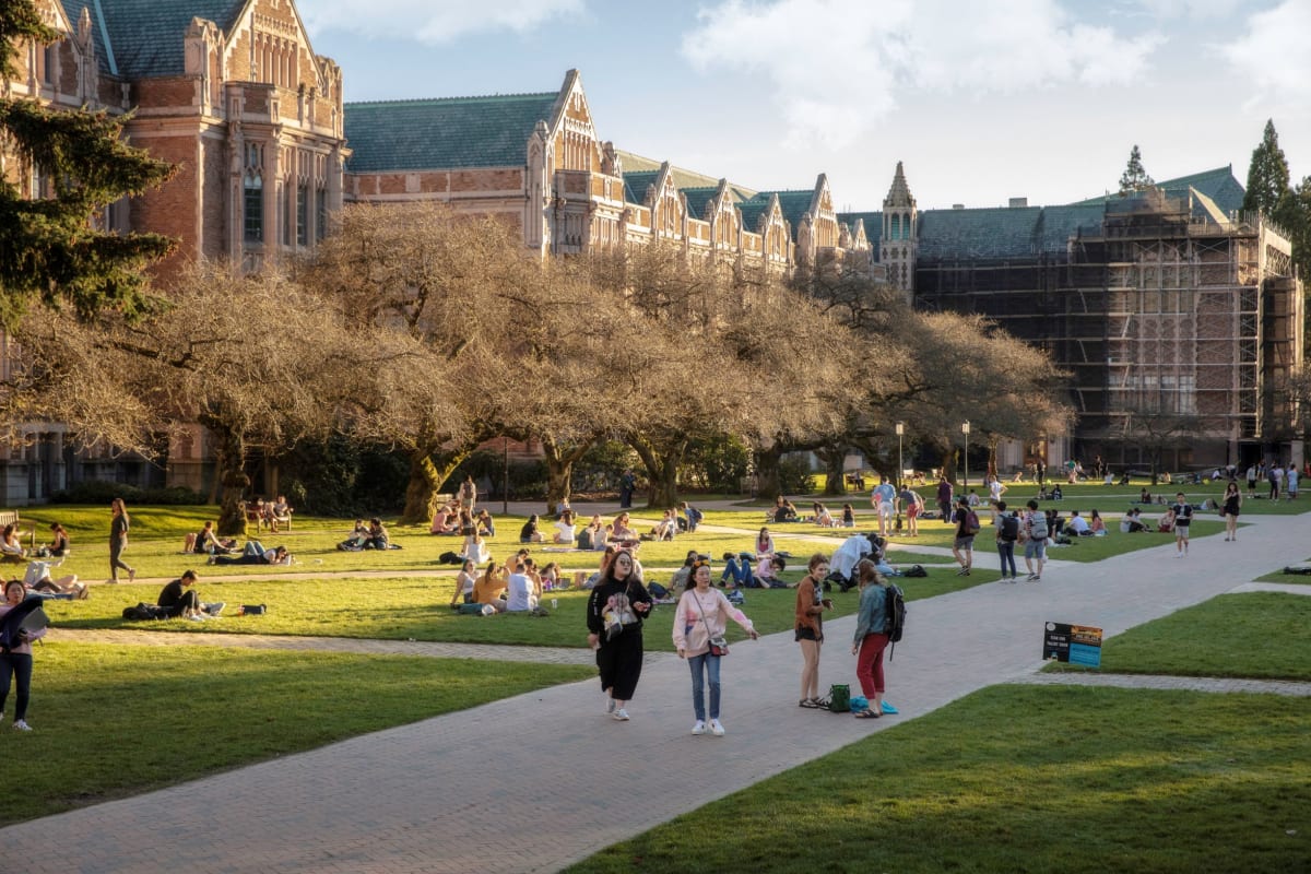 Photos and Video of Sundodger in Seattle, WA