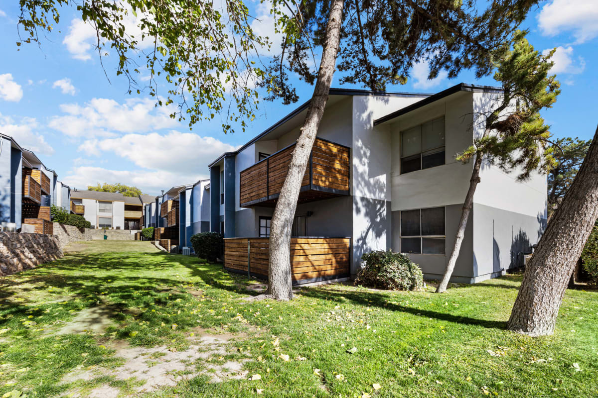 Photos and Video of RIDGEMAR in El Paso, TX