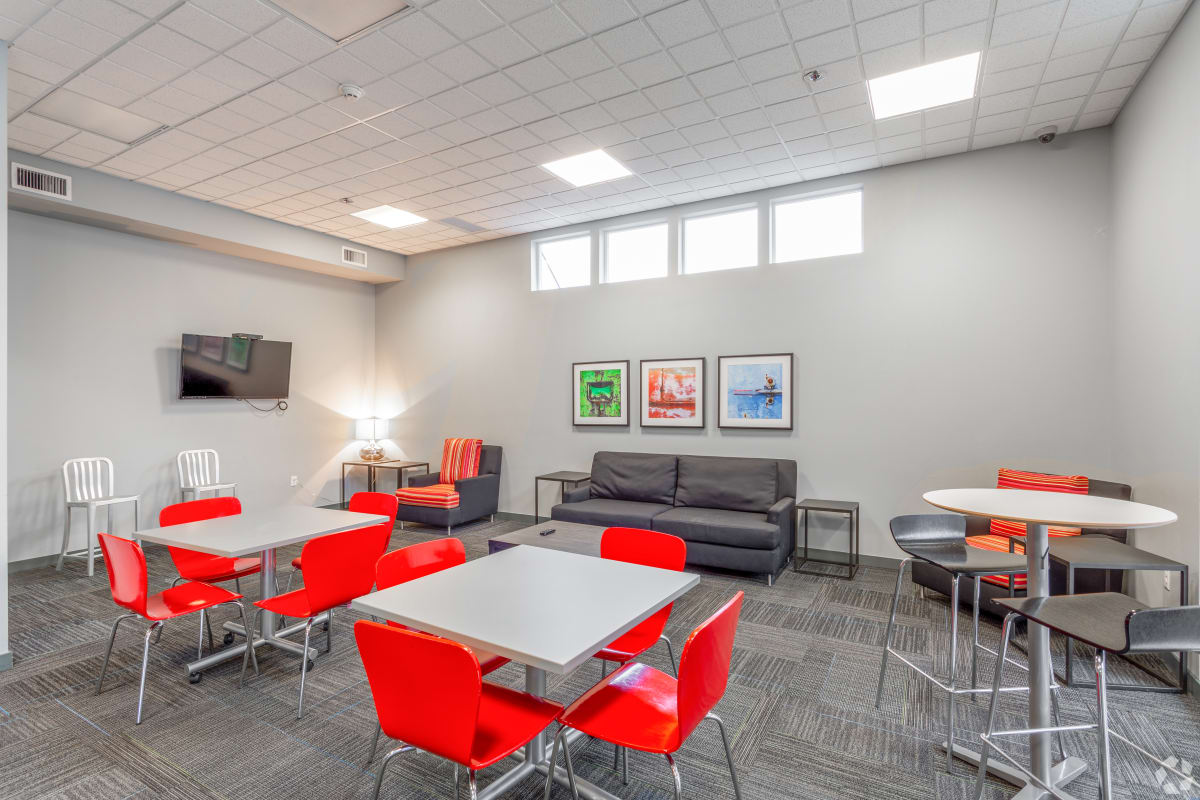 Photos and Video of COPPER ROSE in COLORADO SPRINGS, CO