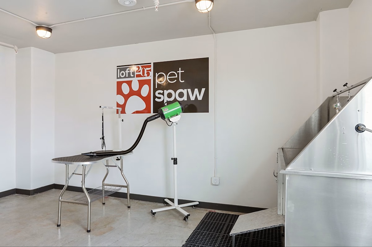 Photos and Video of LOFT 205 Apartments in Reno, NV