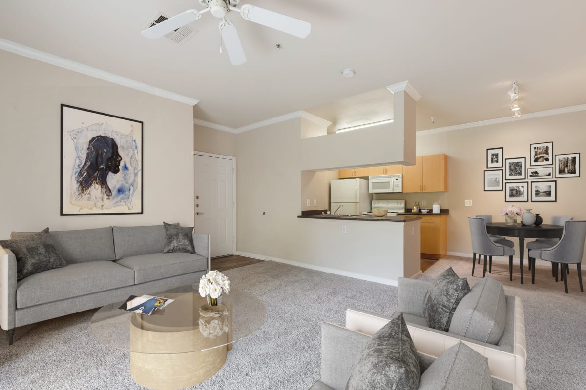 Dog-Friendly Apartments in North Natomas, Sacramento, CA