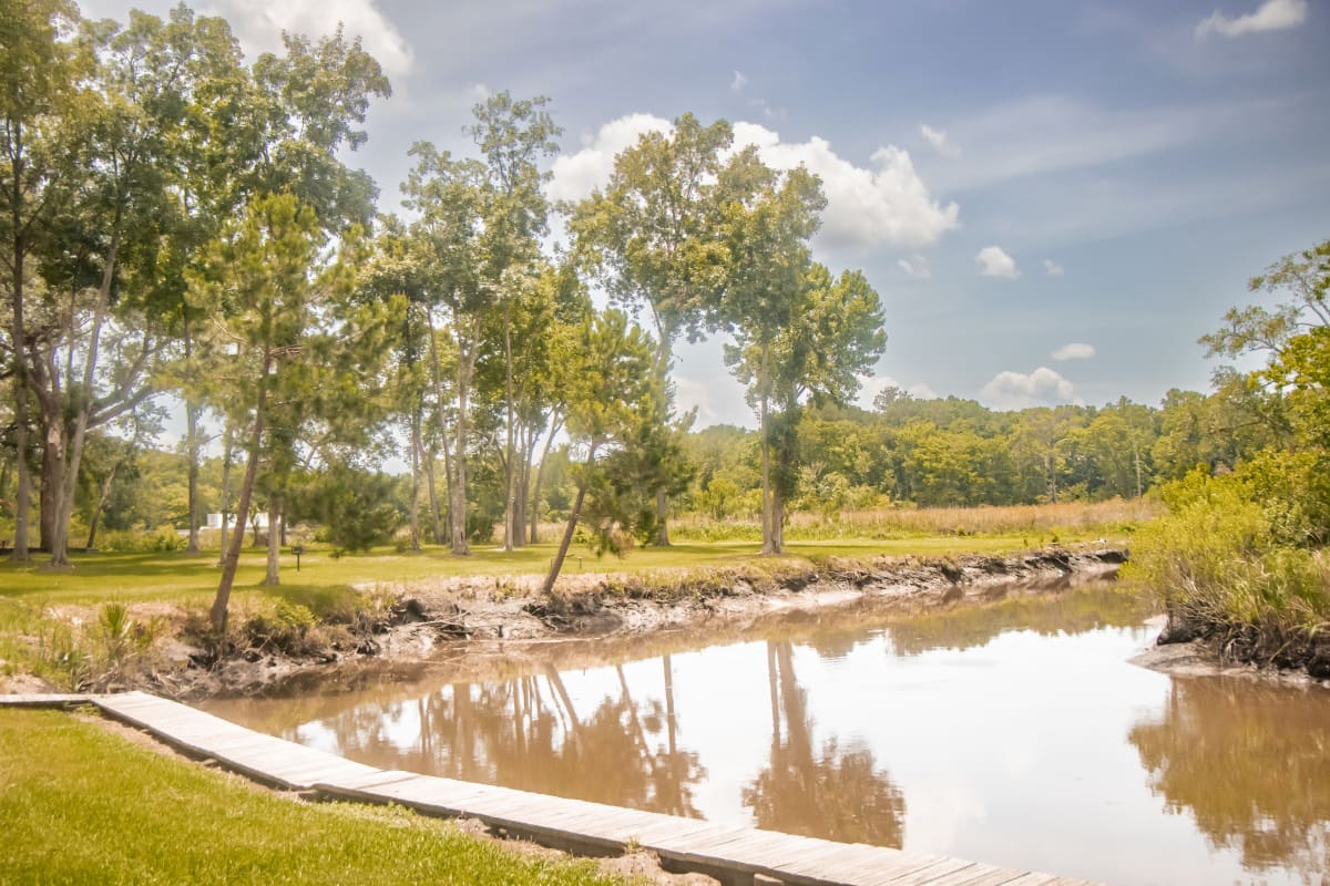 Gallery of The Element at River Pointe | Jacksonville Apartment Photos