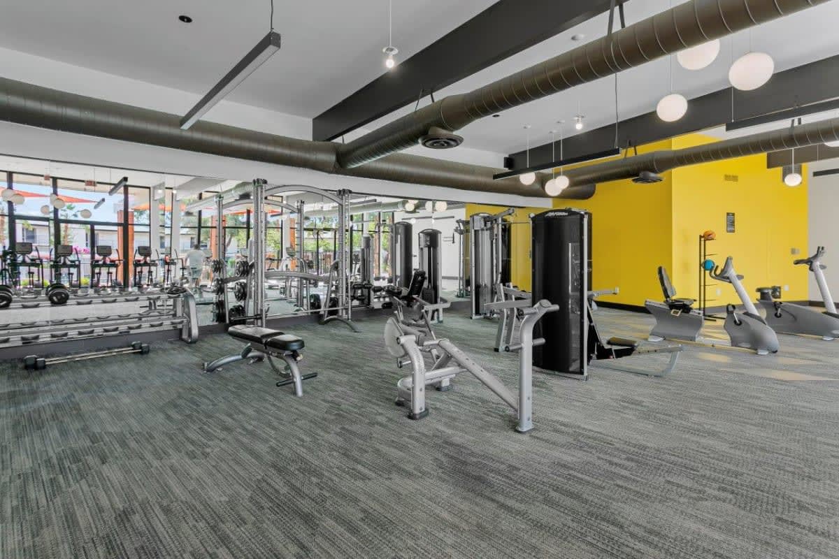 Discover Our Vibrant Photo Gallery | Sentry Tempe Apartments