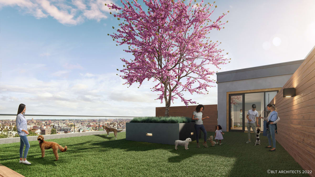 View our Photo Gallery | The Carson