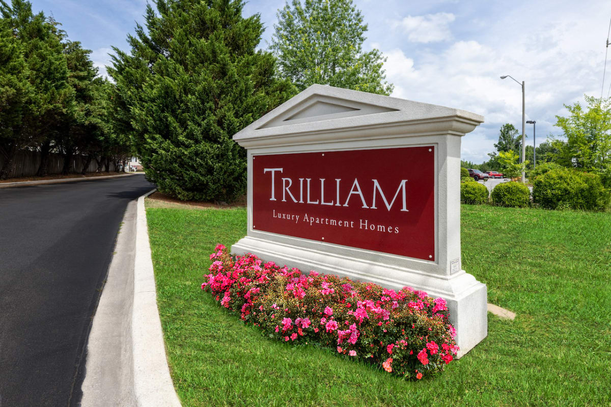 Photos and Video of Trilliam in Clanton, AL