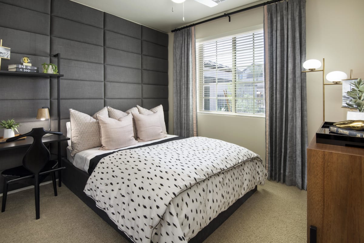 Photos and Video of Encantada Rita Ranch in Tucson, AZ