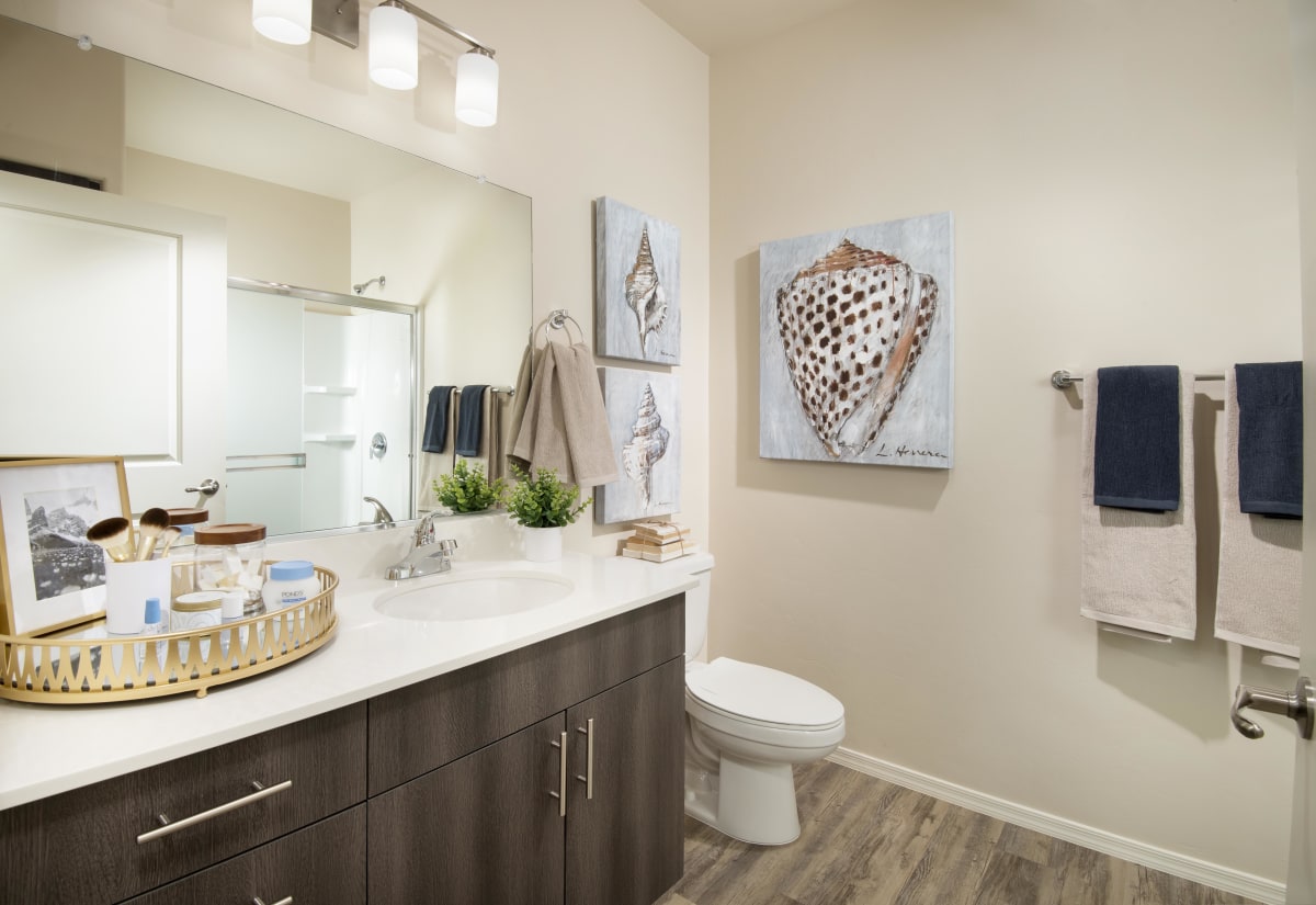 Photos and Video of Encantada Rita Ranch in Tucson, AZ