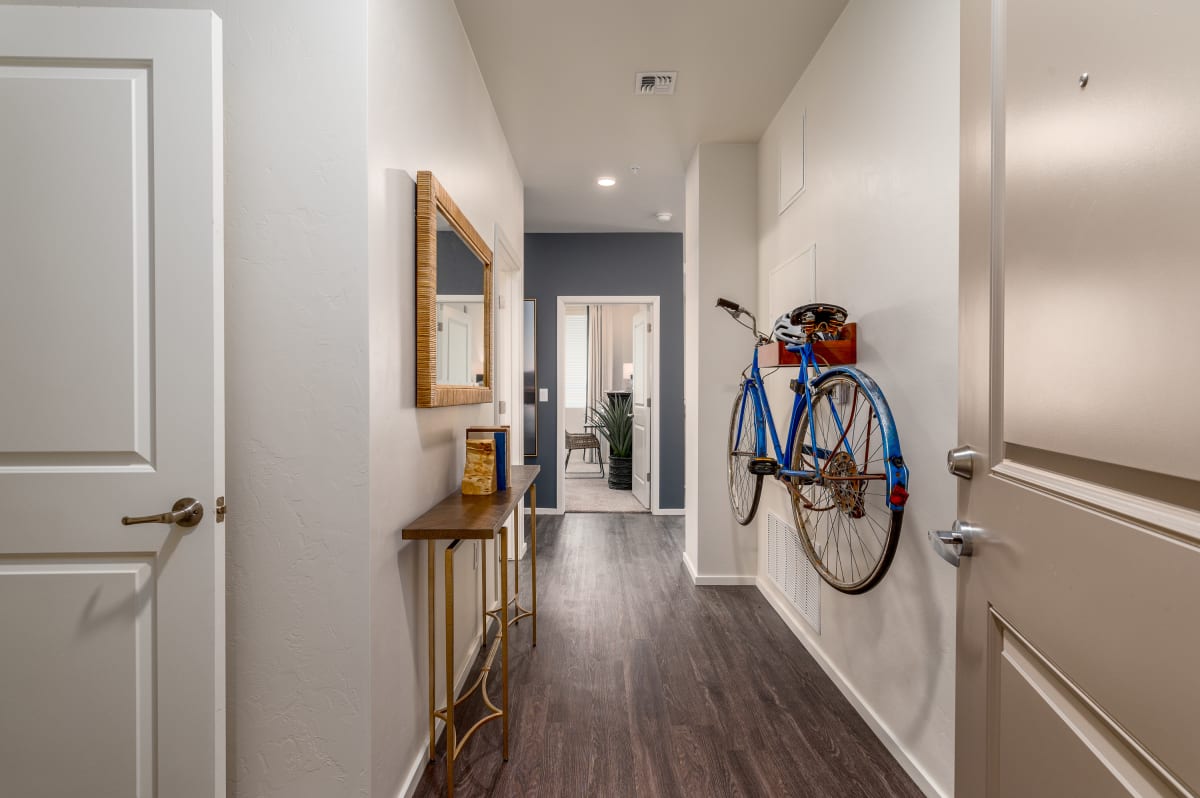 Photos and Video of The Flin in Tucson, AZ