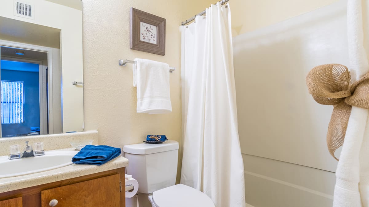 Photos and Video of Enclave at the Foothills in Tucson, AZ