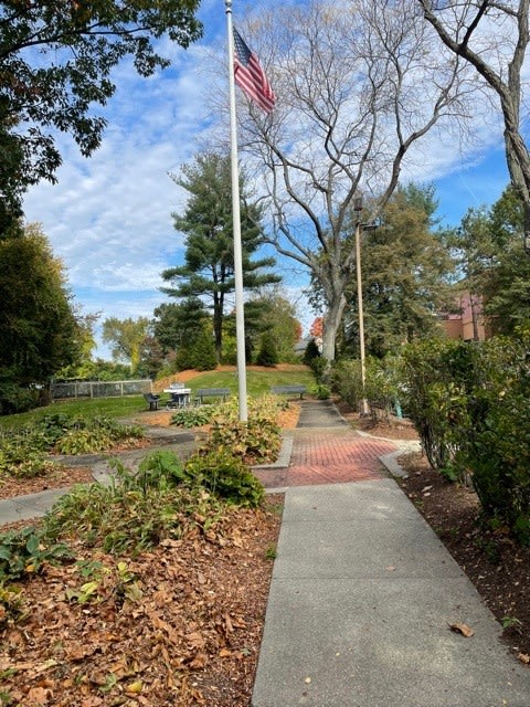 Photos and Video of Andover Commons in Andover, MA