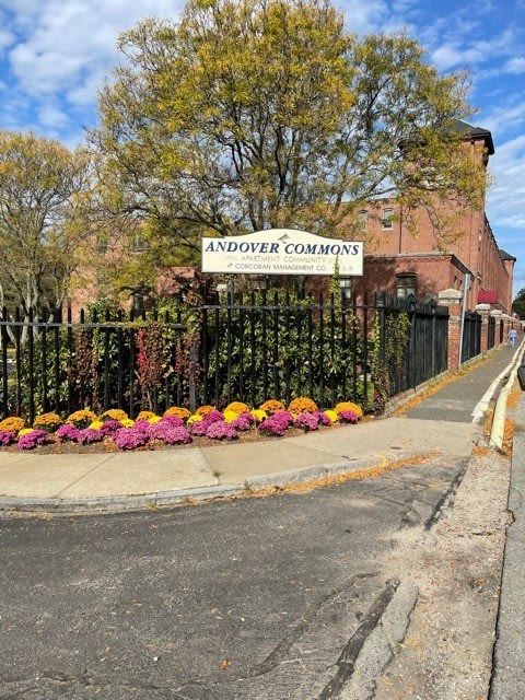 Photos and Video of Andover Commons in Andover, MA