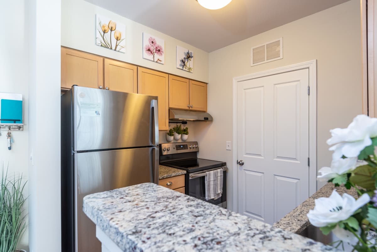 Photos and Video of Parkside Commons Apartments in Chelsea, MA