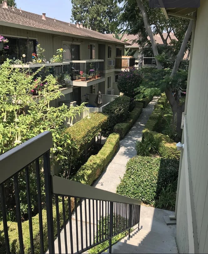 Photos and Video of Rose Court Apartments in Campbell, CA
