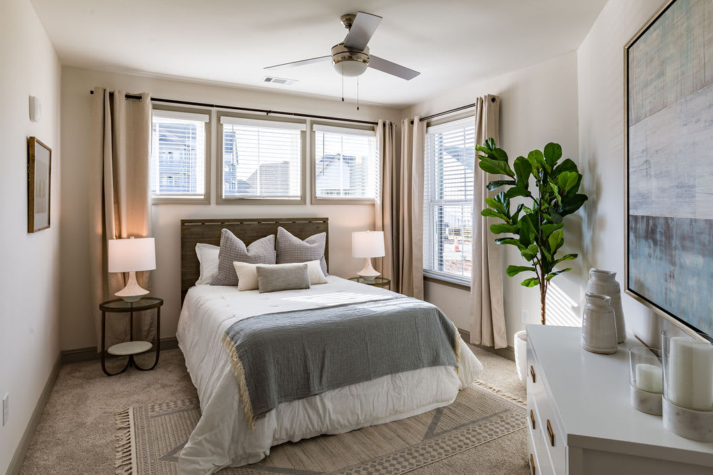 Luxury Apartments for Rent in Louisville, KY | Livano Springdale