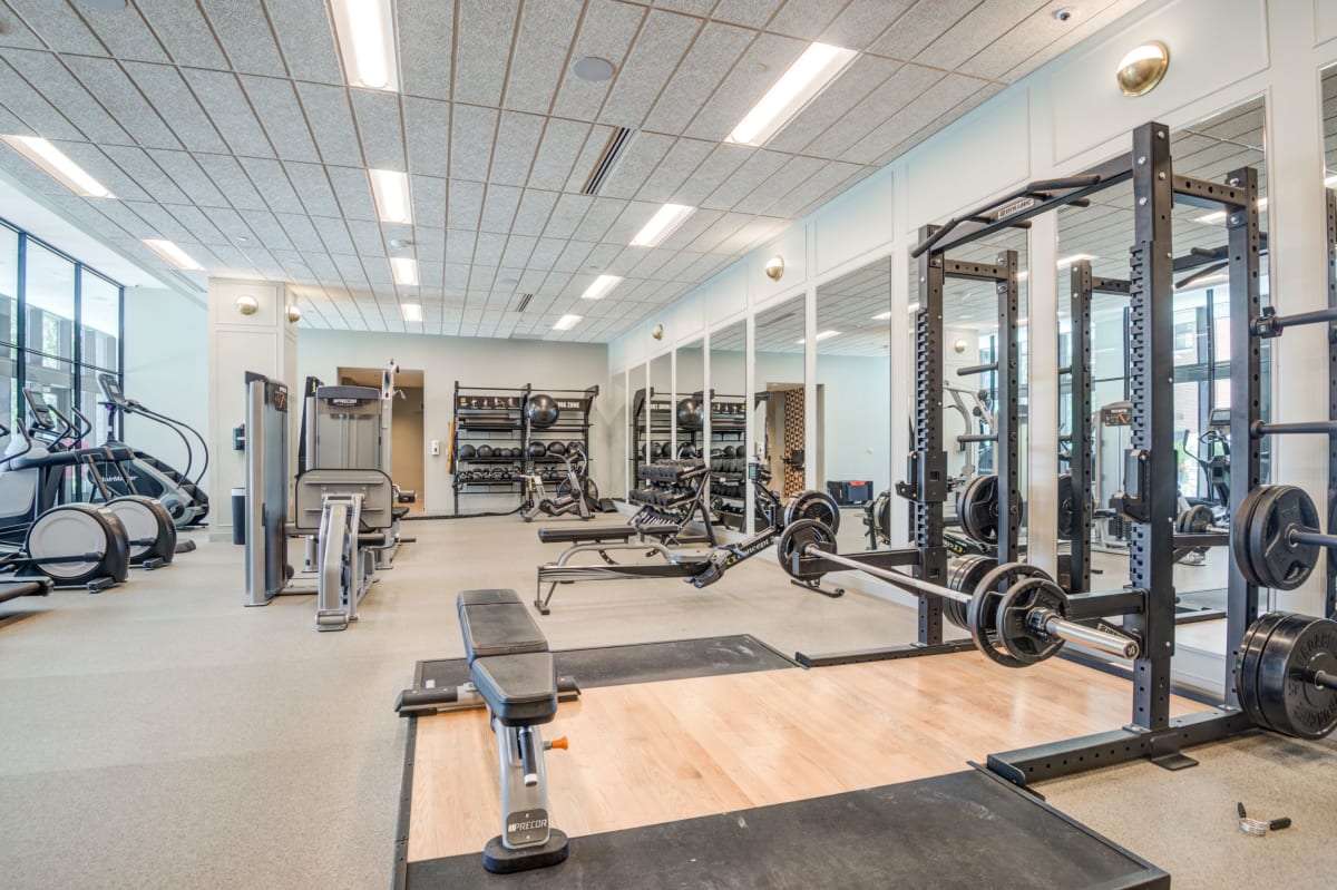 Photos and Videos of Beckert's Park in Washington, DC