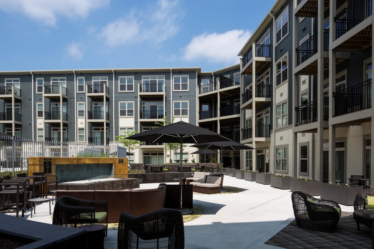 Photos and Video of Citron in Silver Spring, MD