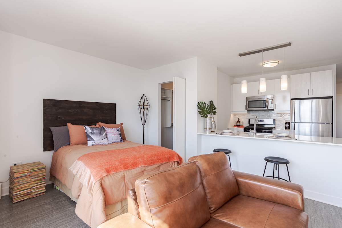 Apartments in South Loop, Chicago | 1001 South State | Photos