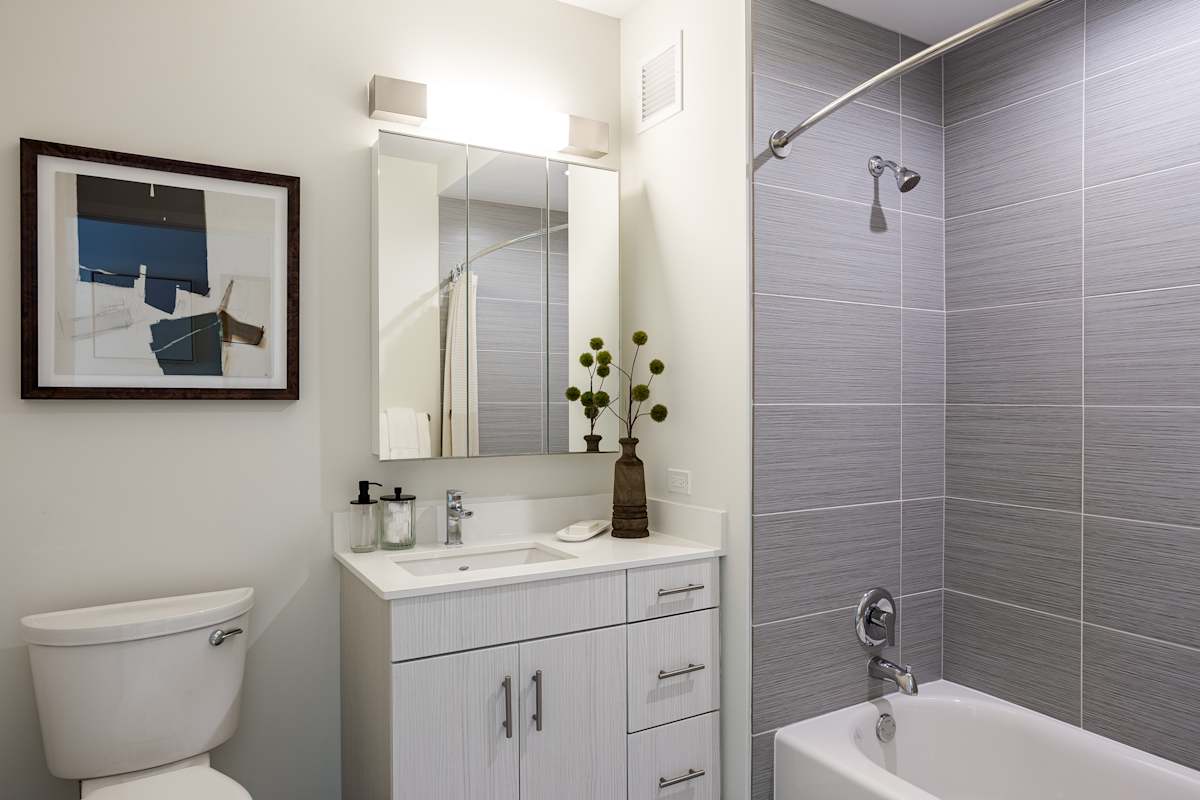 Apartments in South Loop, Chicago | 1001 South State | Photos