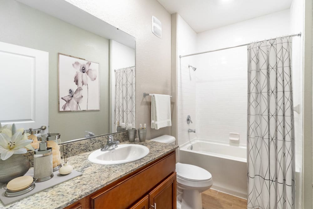 Photos and Video of Deland Commons in Deland, FL