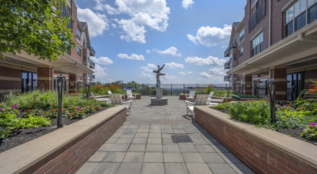 Photo Gallery | Arlington 360