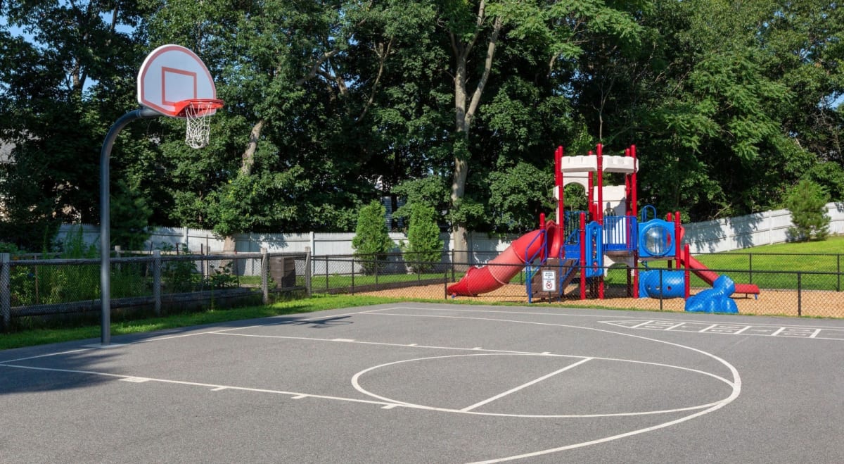 Photo Gallery | Arlington 360