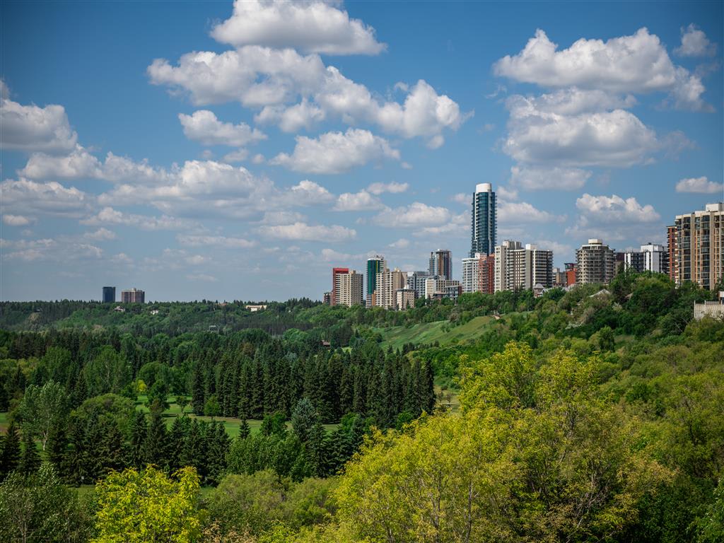 Photos and Video of The Hendrix in Edmonton, AB