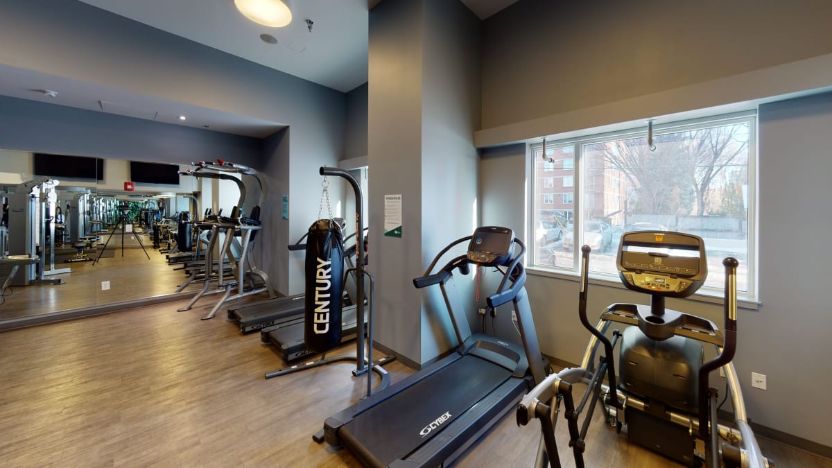 Photos and Video of The Hendrix in Edmonton, AB