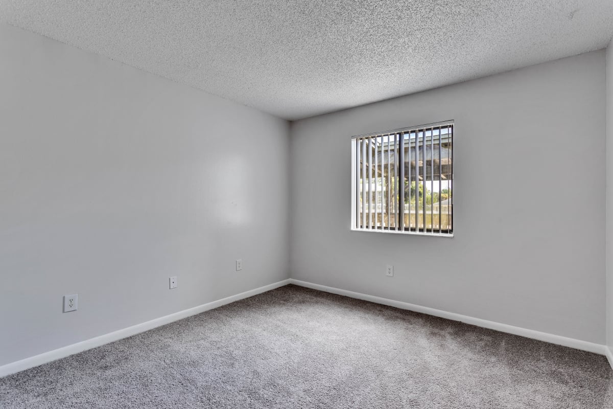 Photos and Video of Windover Oaks in Titusville, FL