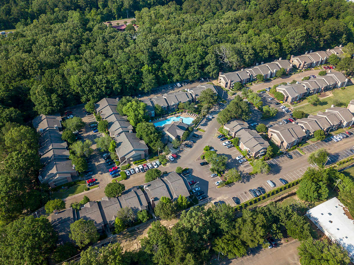 Photos and Video of Pear Orchard in Ridgeland, MS