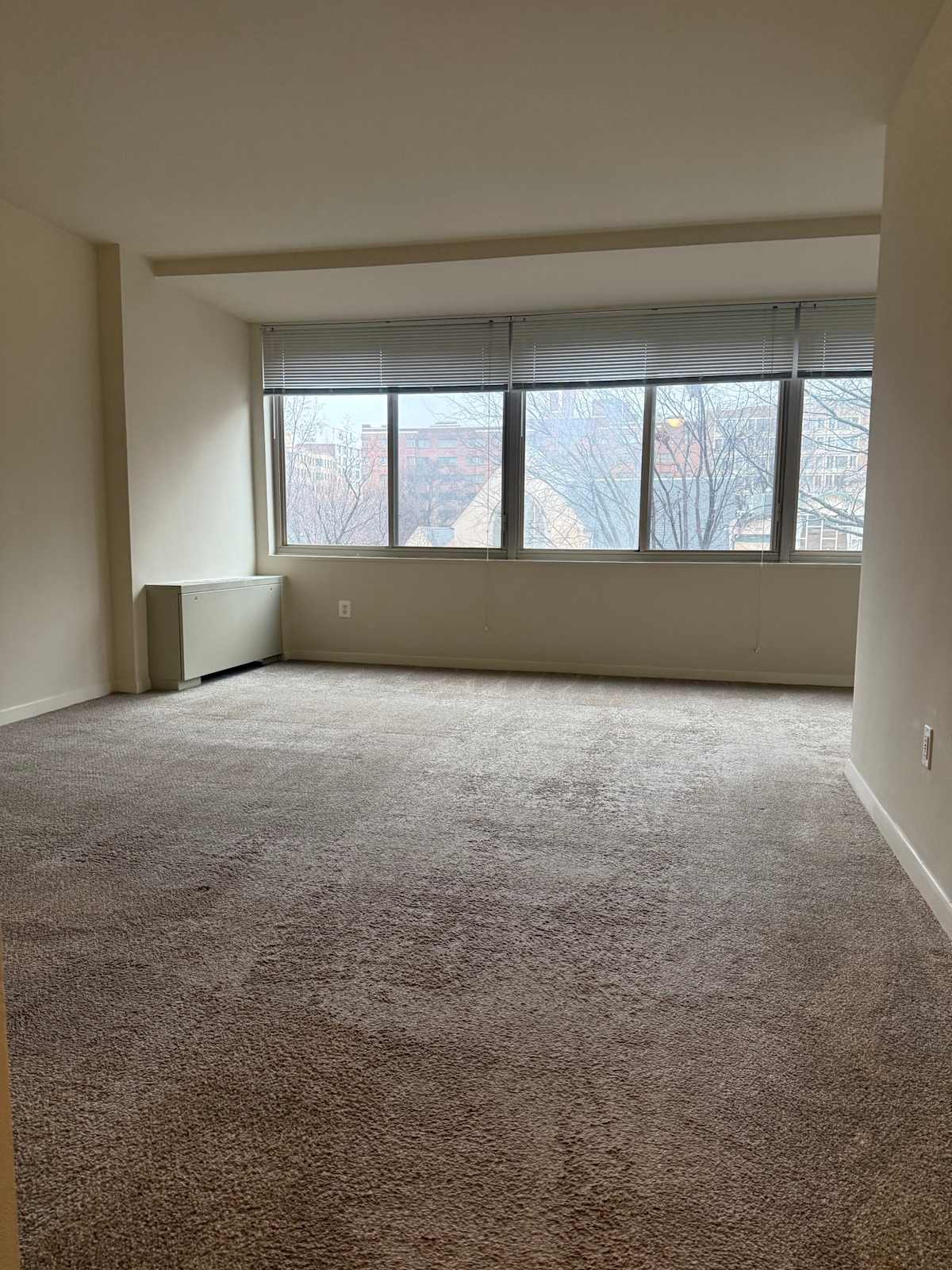 The 925 Apartments | Studio B | Available Units