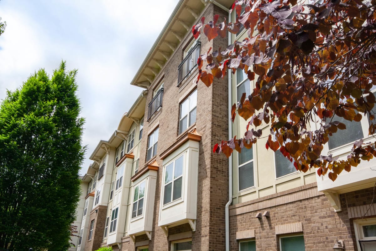 Photos and Video of Veranda at Collegetown in Atlanta, GA