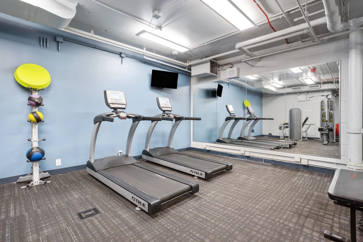 South Commons Apartments for Rent | Eden Commons
