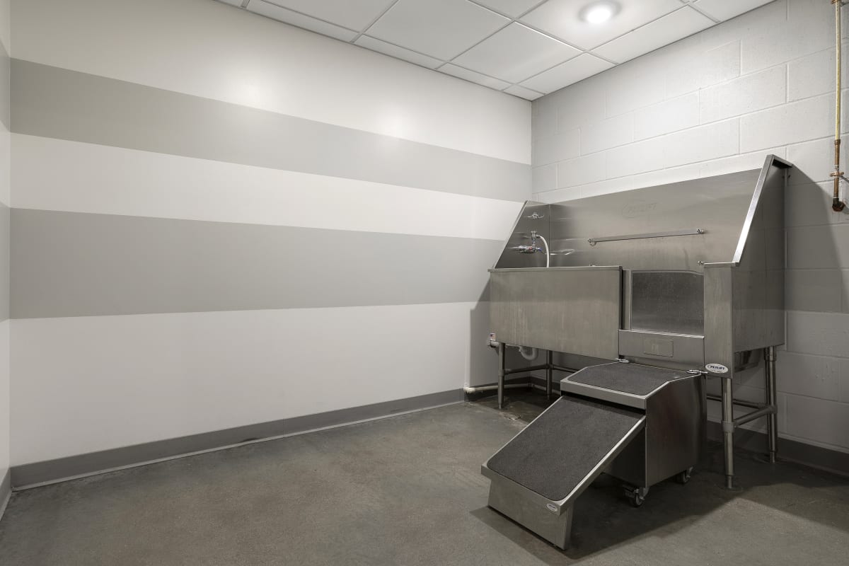 Minneapolis Apartments | The Whit | Photo Gallery