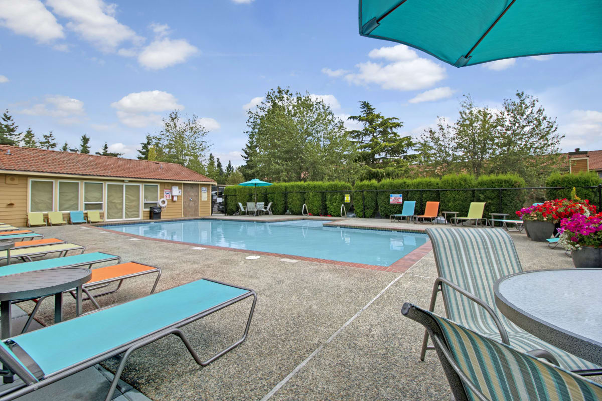 Photos and Video of Taluswood Apartments in Mountlake Terrace, WA