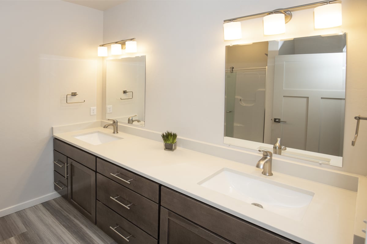 Photos and Video of The Residences Howard Commons /Howard Lofts in ...