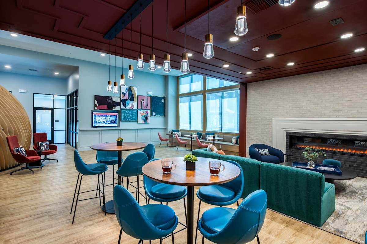 Photos and Video of Adler in Henderson, NV